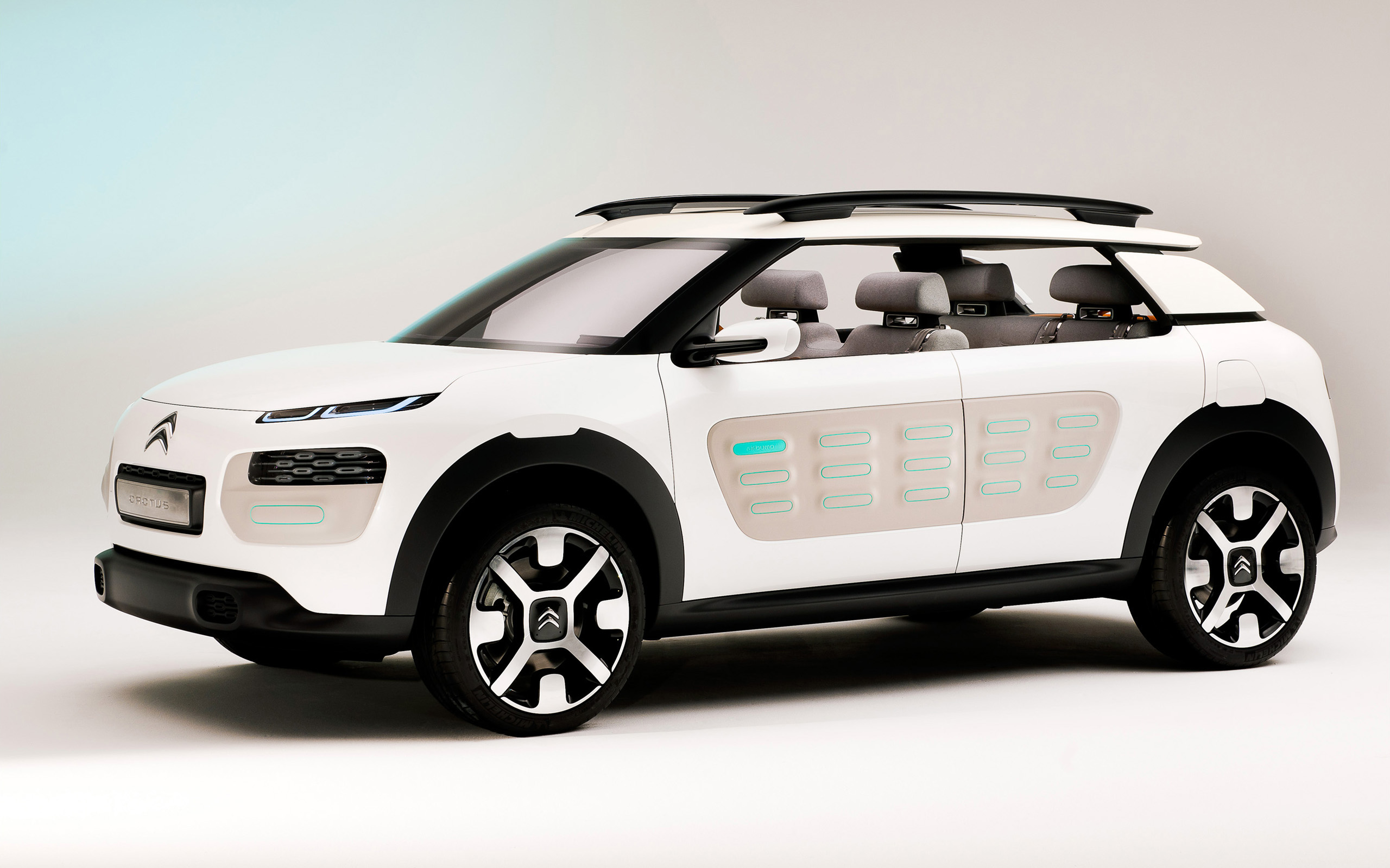 2013 Citroen Cactus Concept Wallpaper - HD Car Wallpapers #3701
