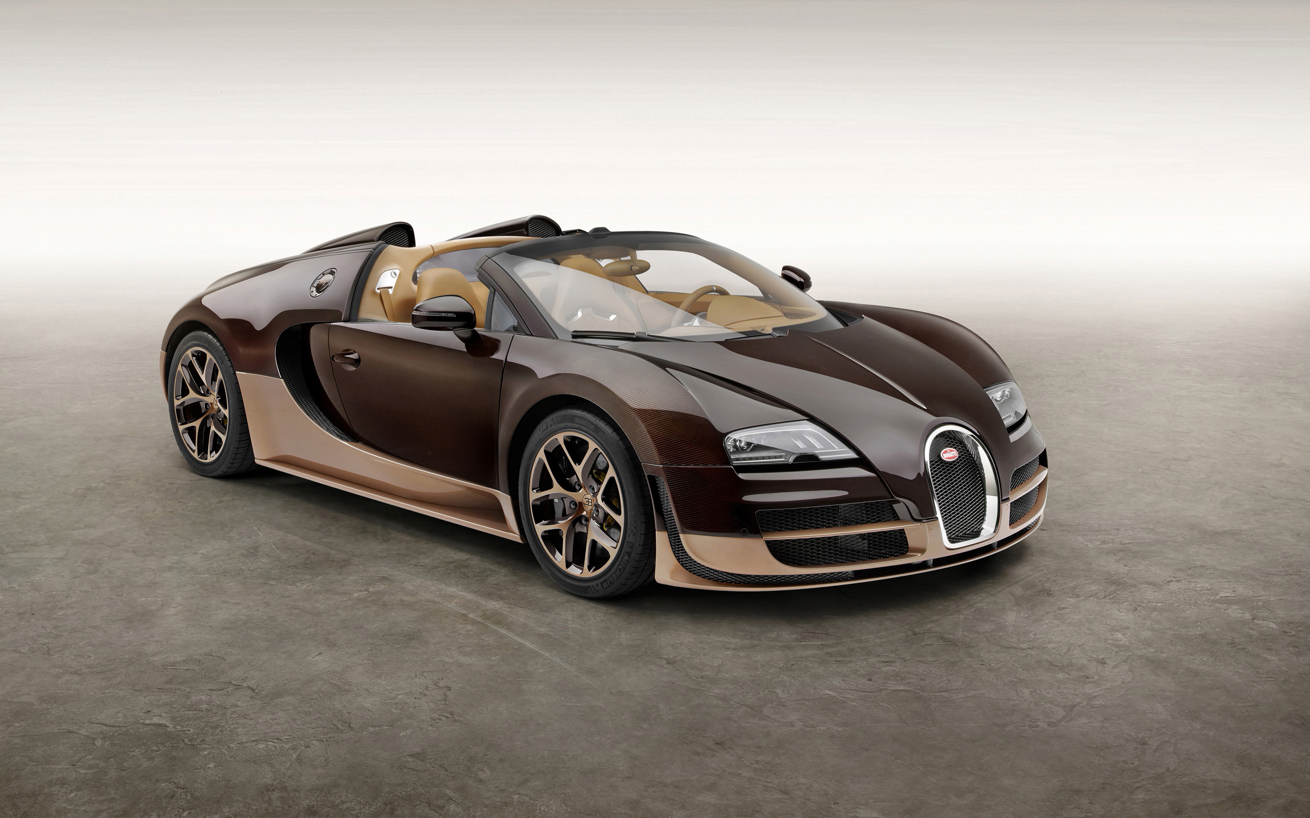 2014 Bugatti Veyron Grand Sport Vitesse Legend Rembrandt Bugatti